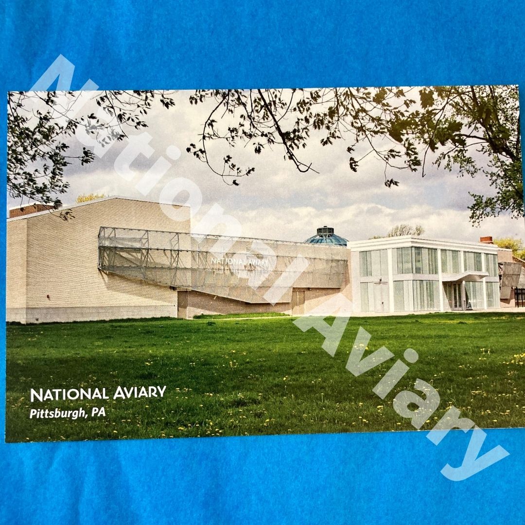 National Aviary Logo Hot Jam With National Aviary Pittsburgh Glass